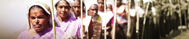 Evergreen Tea Factory